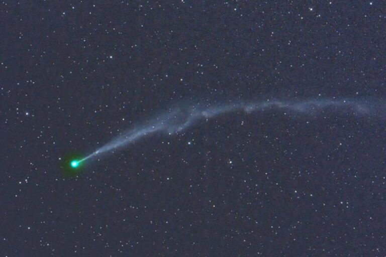 Comet Nishimura: A New Visitor to the Solar System